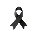 RESOLUCIÓN 3081 DEL 01/11/2022 | Consejo de la Magistratura de la ...